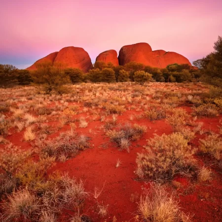Ayers Rock Tours From Alice Springs